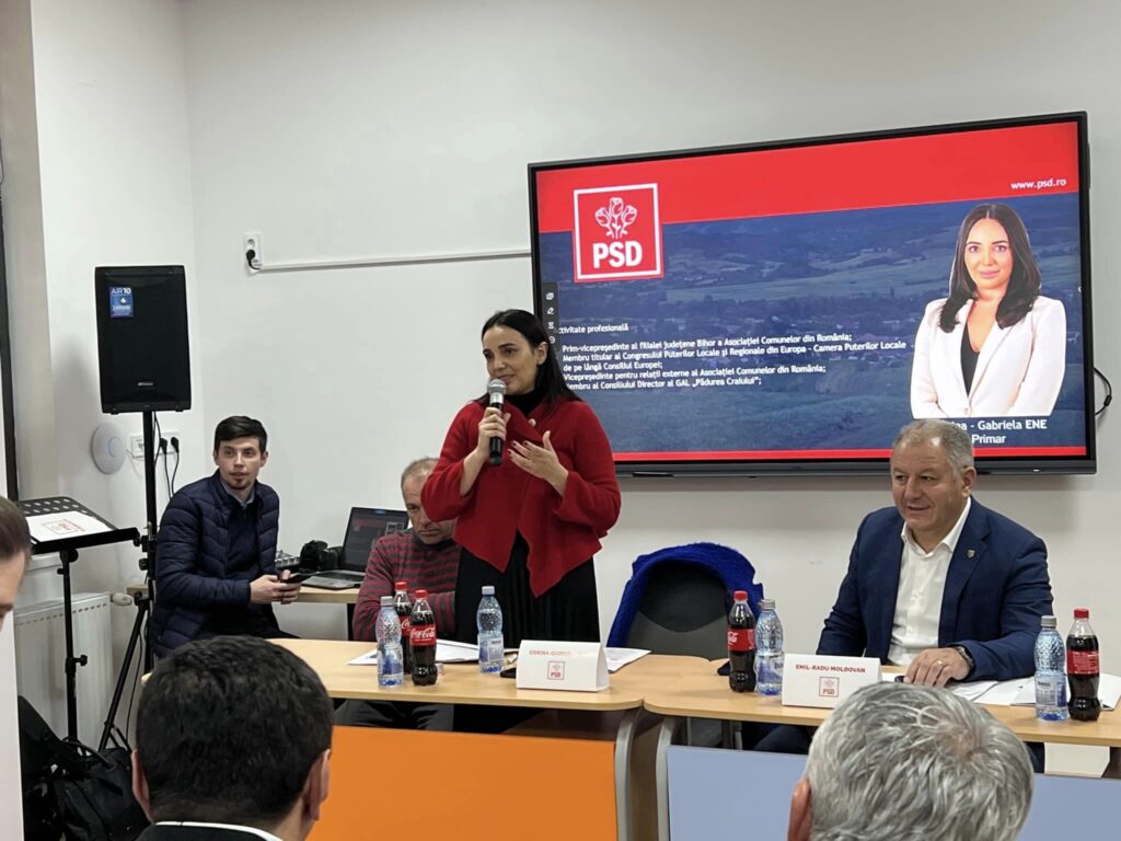 Primarul Corina Ene, motor al ideilor. Adrian Madar: Organizații locale ...